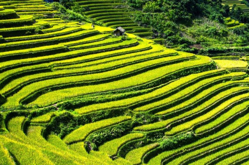 From Hanoi: 2D1N Sapa Trekking by VIP Sleeper Bus - The Sum Up