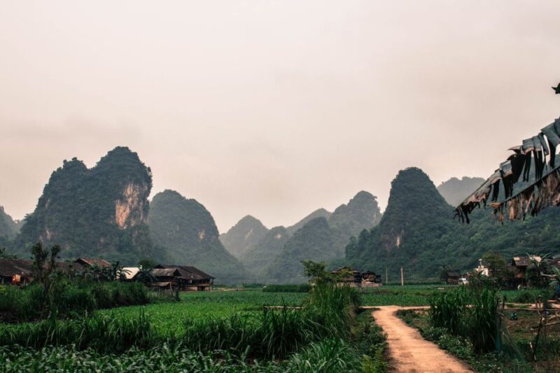 From Hanoi: 3-Day Ba Be Lake & Ban Gioc Falls Private Tour - Who Should Consider This Tour?