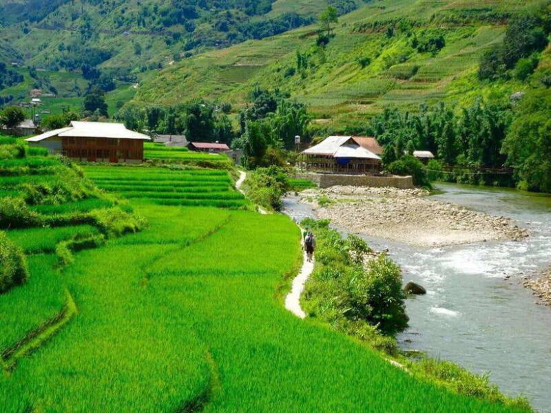 From Hanoi: 3-Day Sapa, Fansipan, Ninh Binh Tour with Meals - The Sum Up