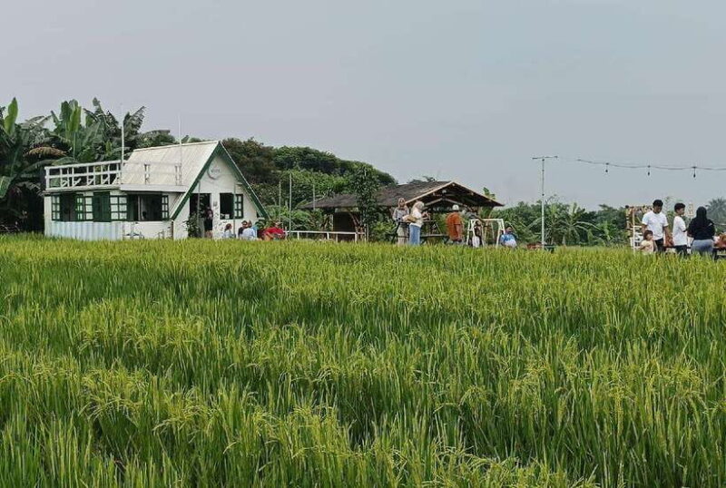 From Jakarta: Bogor Botanical Garden, Ricefield, & Waterfall - Who Should Consider This Tour?