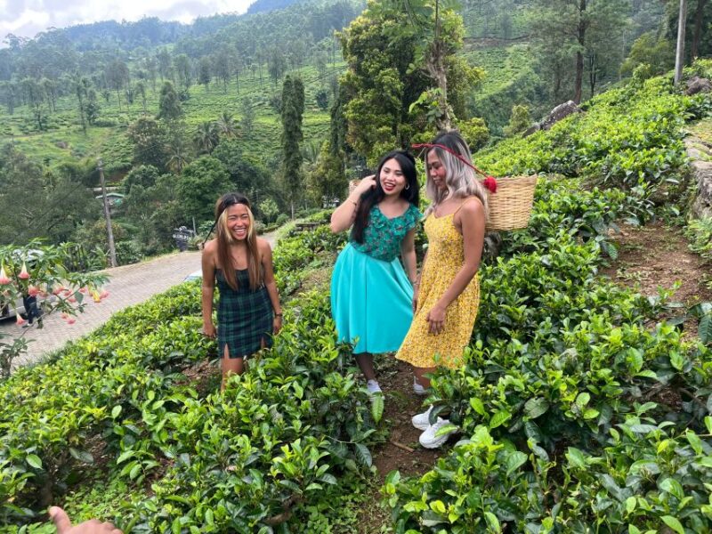 From kandy Train, and Pool Club Day Tour with Pickup - Returning to Kandy
