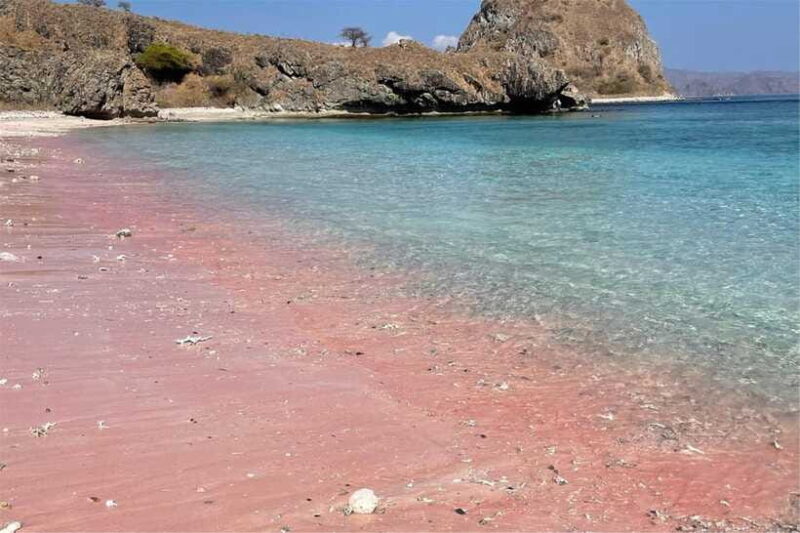 From Labuan Bajo: Komodo Dragons and Island Hop with All Fee - Who Would Love This Tour?