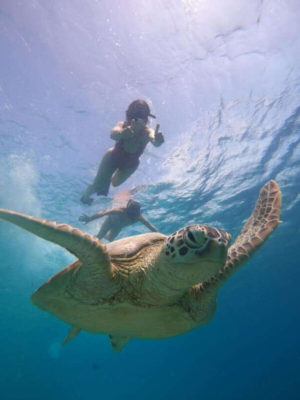 From Lombok: Gili Islands Snorkeling Day Trip - FAQ