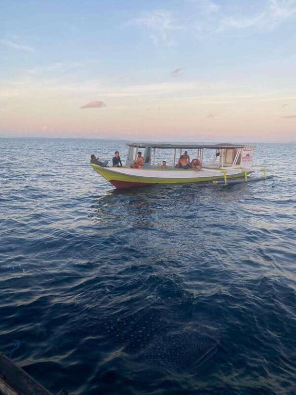 From Lombok,Sumbawa Whale Shark Tour 2D1N - The Sum Up