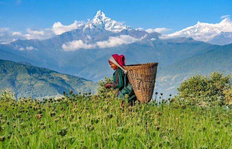 From Pokhara: 3-Day Ghorepani Poonhill Short Trek - Frequently Asked Questions