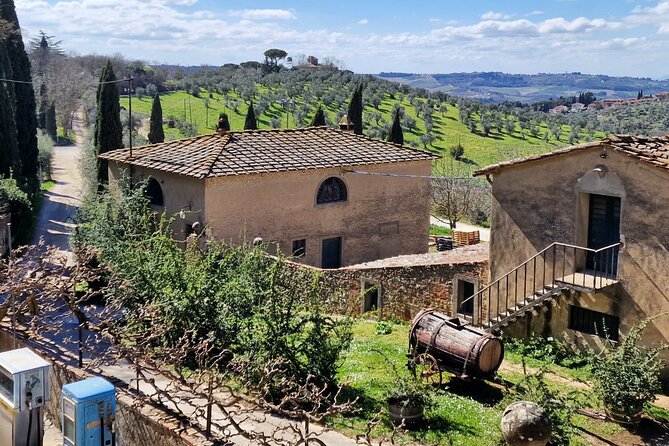 Full day 9h Private Tours 3 Top Wineries, Florence Limo Service - FAQ