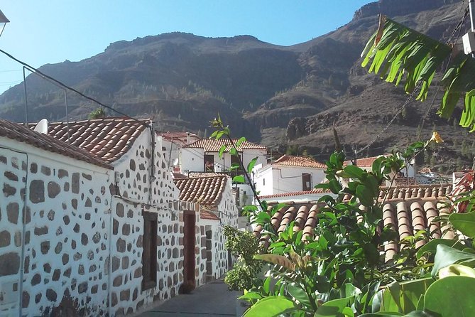 Full Day Across the Island Tour from Las Palmas - The Stops: Why They Matter