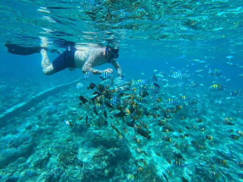 Gili Islands Snorkeling Day Trip with private speedboat - Final Thoughts