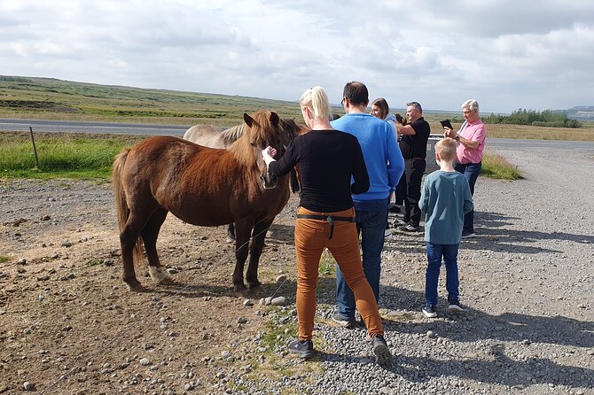 Golden Circle - Shore Excursion from Reykjavik in Minibus, English - FAQ