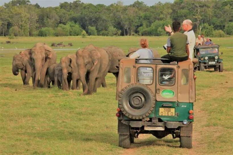 Habarana: Hurulu Eco Park Elephant Jeep Safari - FAQ