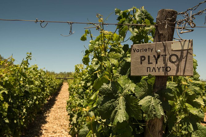 Half-Day Private Tour in Two Wineries and Archanes from Heraklion - FAQ