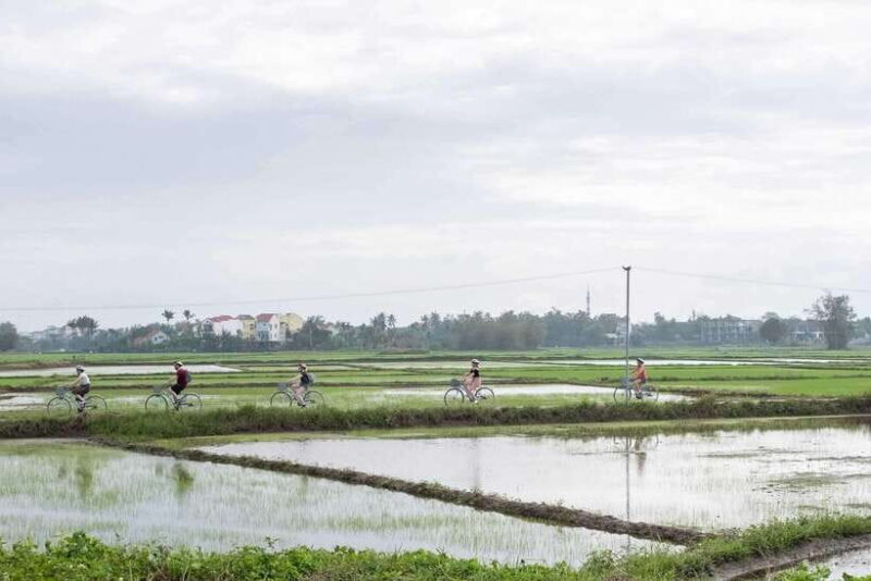 Hoi An : Eco Bicycle Tour with Fishing and Lunch/Dinner - Returning and Reflecting