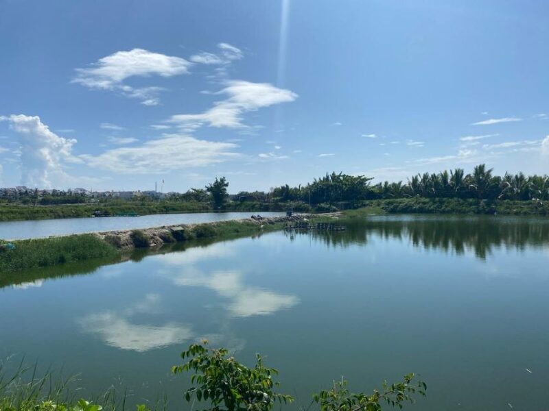 Hoi An: Rural Cycling Tour to Village with Basket Boat Ride - Who Should Book This Tour?