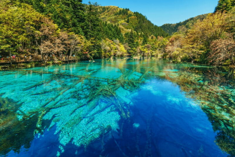Jiuzhai Valley National ParkVisit Colorful Fairy Tale World - The Experience from Others Perspectives