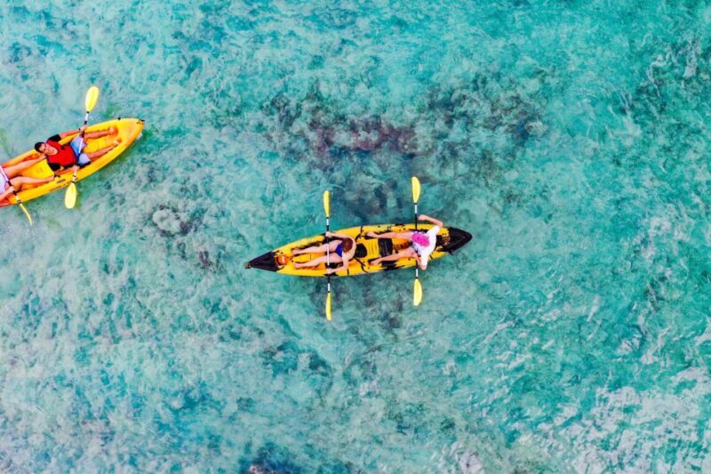 Kailua, Oahu: Popoia Island & Kailua Bay Guided Kayak Tour - The Value Proposition