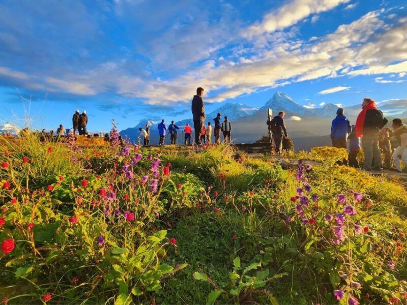 Kathmandu: 3 Day Ghorepani Poon Hill Guided Trek - The Sum Up