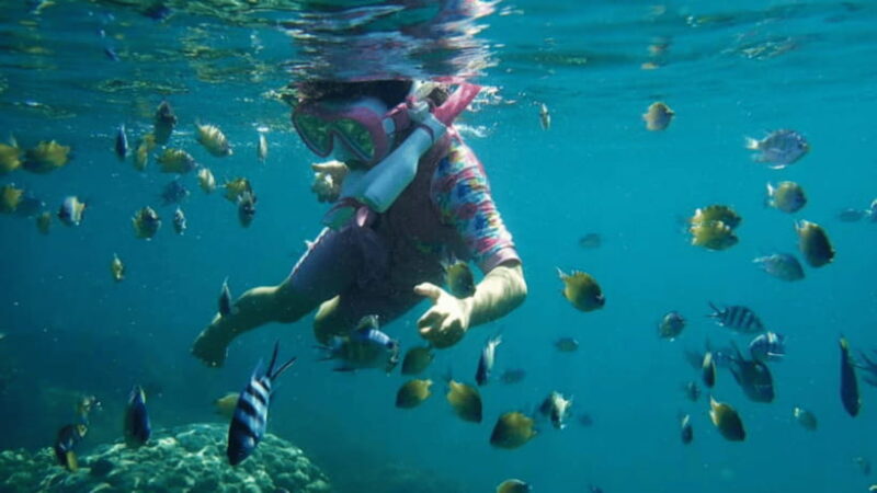Kota Kinabalu : Snorkeling at Ara Dinawan Private Island - Who Would Enjoy This Trip?