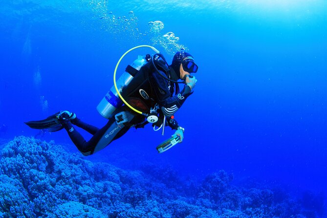 Kusadasi Scuba Diving Tour By Local Experts - The Sum Up: Who Should Consider This Tour?