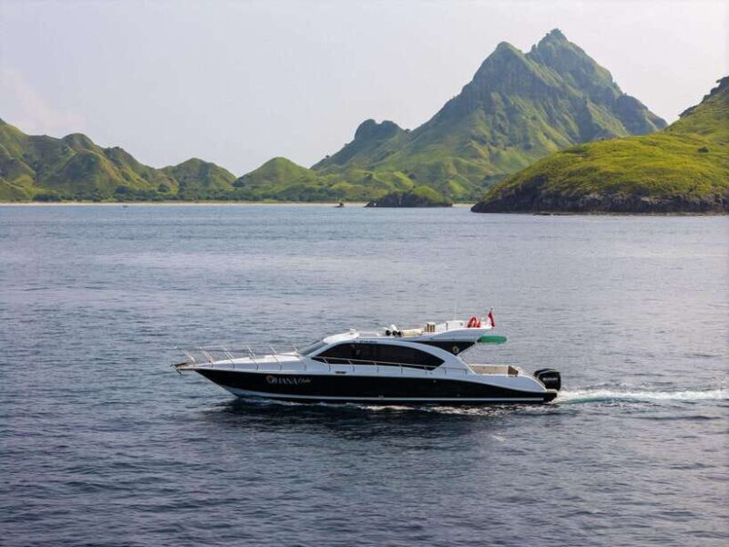 Labuan Bajo: Komodo National Park Full-Day Speedboat Tour - FAQ