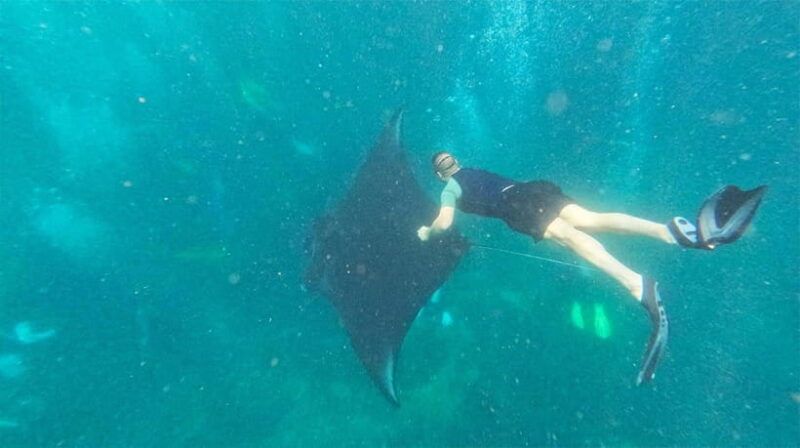 Labuan Bajo: Komodo Private Day Trip with Snorkeling - What’s Included and What’s Not