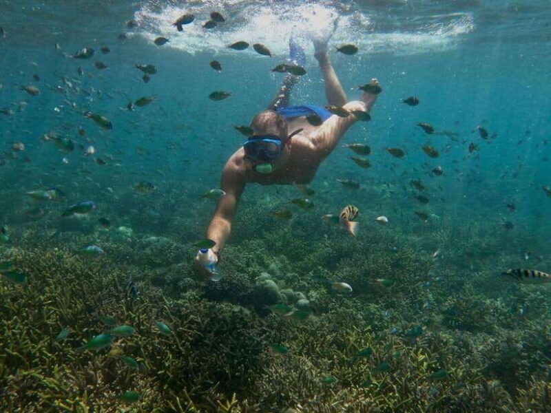 Lombok: Gili Nanggu, Tangkong, Sudak, and Kedis Islands Tour - FAQs