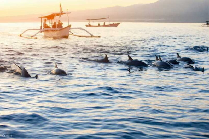Lovina Package Tours ( Inclusive ) - FAQs