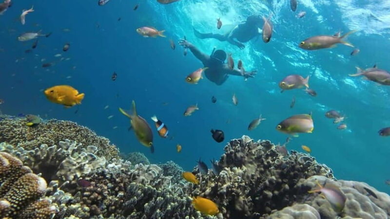 Mactan Island Hopping Gilutungan, Caohagan, Nalusuan + Lunch - Final Word