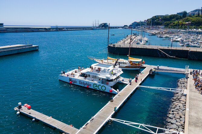 Madeira Dolphin and Whale Watching on a Ecological Catamaran - FAQ