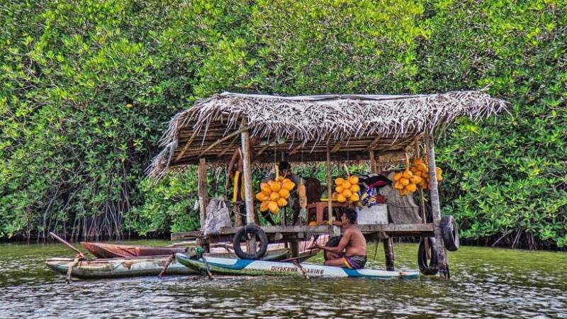 Madu River Boat Safari - Value for Money