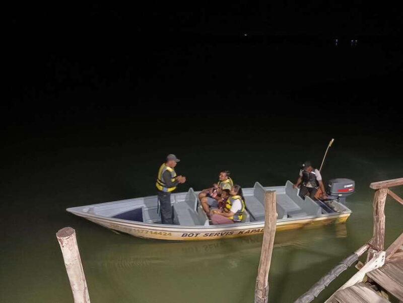 Mangrove discovery tour or fireflies tour - Authentic Experiences and Traveler Feedback