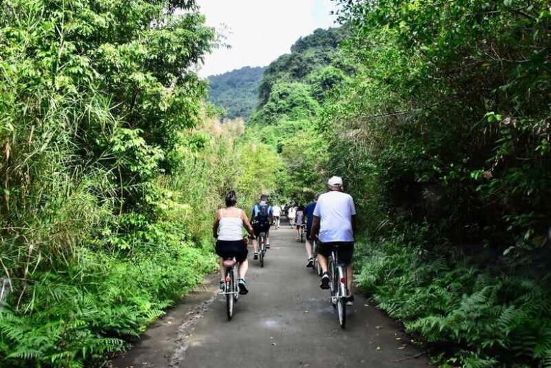 Ninh Binh: Lan Ha, Halong bay classic cruises, small group - Final Thoughts