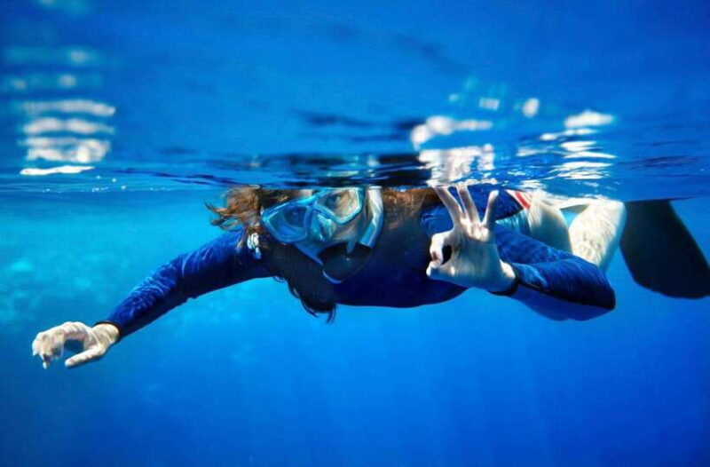 Nusa Dua: Tanjung Benoa Snorkeling Tour with Pickup Options - The Experience Provider: Bali Trip Vibes