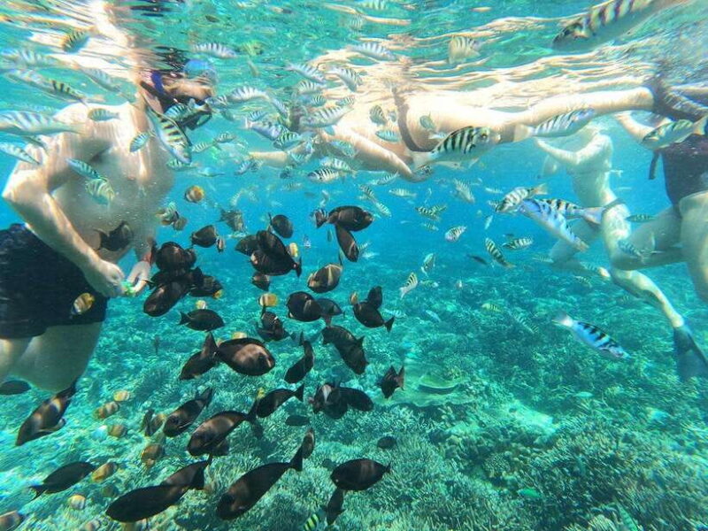 Nusa Lembongan and Nusa Penida: 2-Day Tour - FAQ