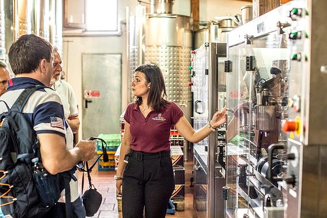 Organic Wine Tasting & Lunch on Vesuvius with Transfer from Sorrento Peninsula - What Makes This Tour Stand Out?