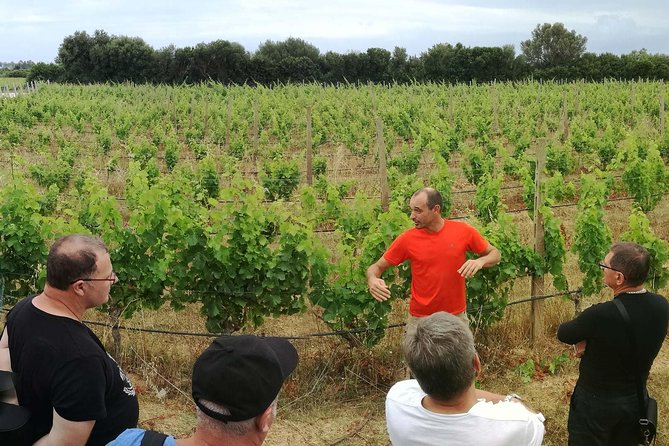 Orosei - 4x4 Tour & wine tasting - Final Thoughts