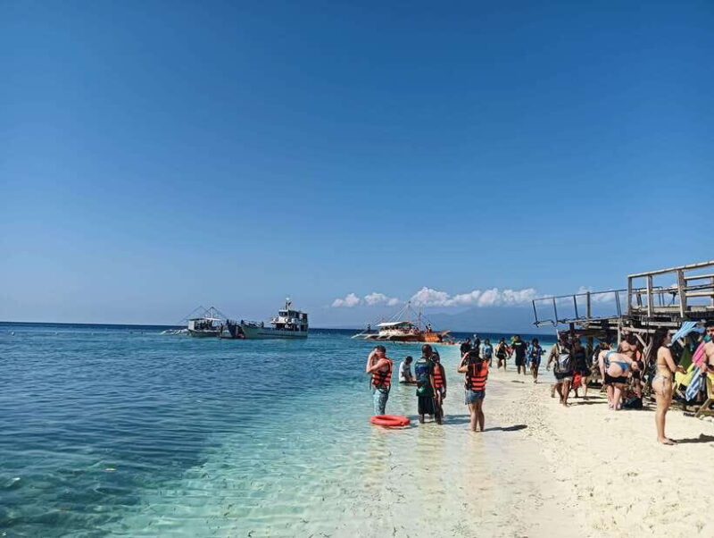 Oslob: Whaleshark Watching, Sumilon Island & Monkey Viewing - Final Thoughts: Is This Tour Worth It?