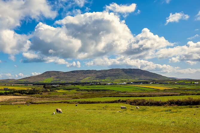 Personalized Full-Day Dingle Peninsula and Slea Head Drive Tour - The Sum Up: Is This Tour Right for You?