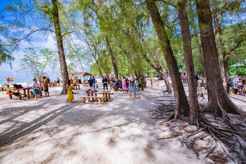 Phi Phi: 6Hrs Bamboo & Phi Phi Tour By Private Longtail Boat - FAQ