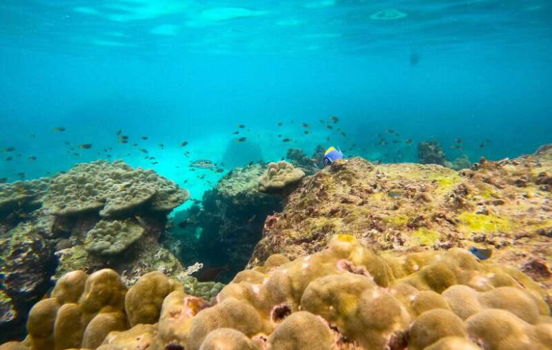 Phi Phi: Private Speedboat Tour with Maya Bay and Snorkel - The Bottom Line