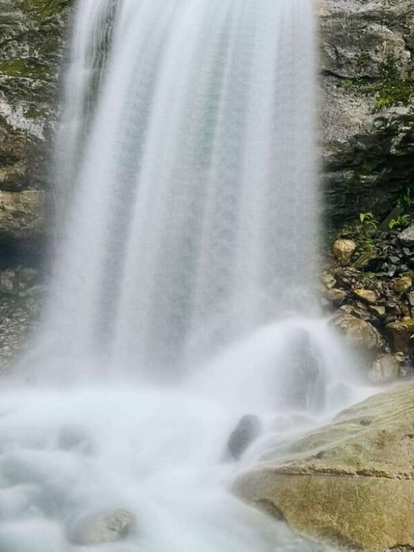 Pokhara: Annapurna Base Camp Trek & Wildlife Safari Tour - FAQ