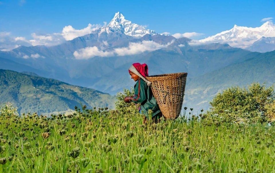 Pokhara : Day Hike to Astham & Dhampus Village - FAQ