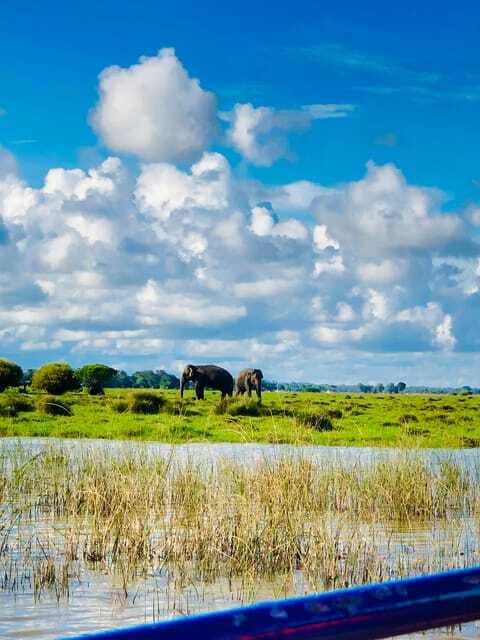 Pottuvil Lagoon Eco Tour : Mangrove Adventure in Arugam Bay - The Sum Up