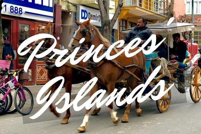 Princess Island Tour with Lunch & Ferry Ride - The Sum Up: A Relaxed Day with Some Caveats
