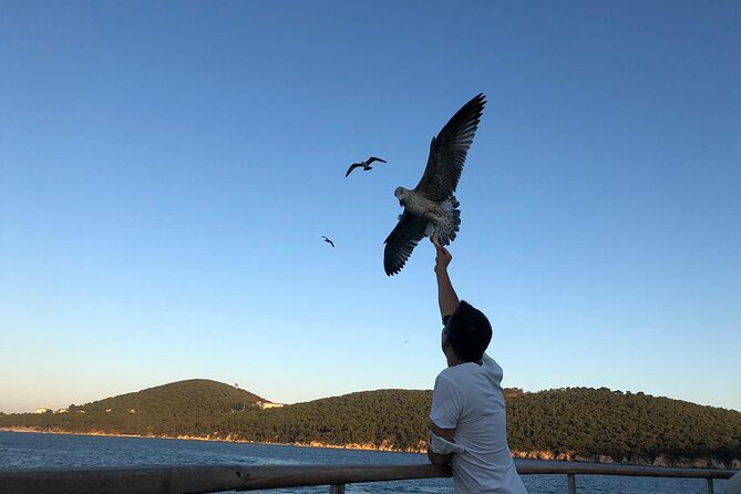 Princess Islands Tour With Lunch and Guide - Authentic Experiences and Practical Tips