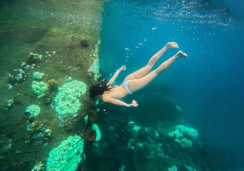 Private Charter Boat Around Koh Tao Snorkel Paradise - Who Will Love This Tour?