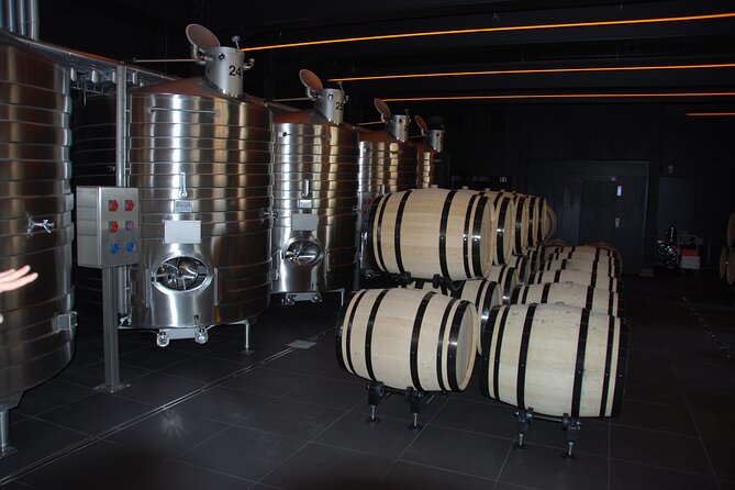 Private Guided Tour in Champagne from Paris with Moet&Chandon visit. - Returning to Paris