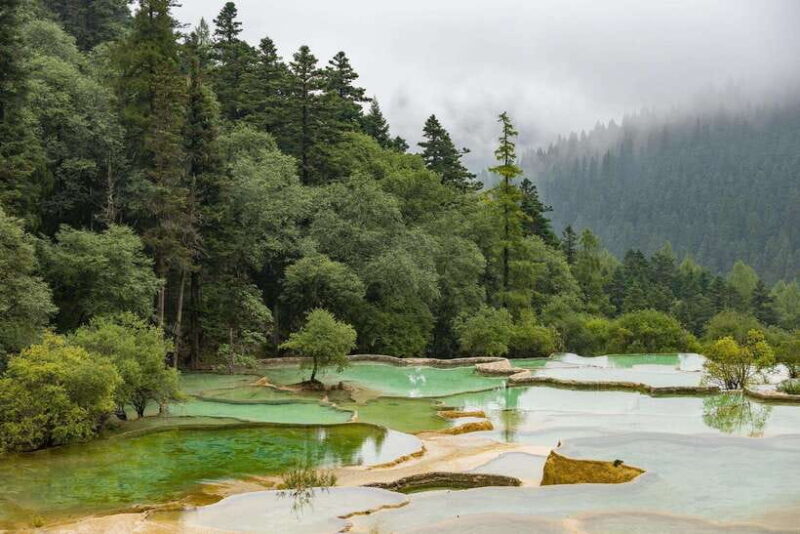 Private Huanglong Park day tour by bullet train from Chengdu - The Sum Up: A smart, scenic day trip