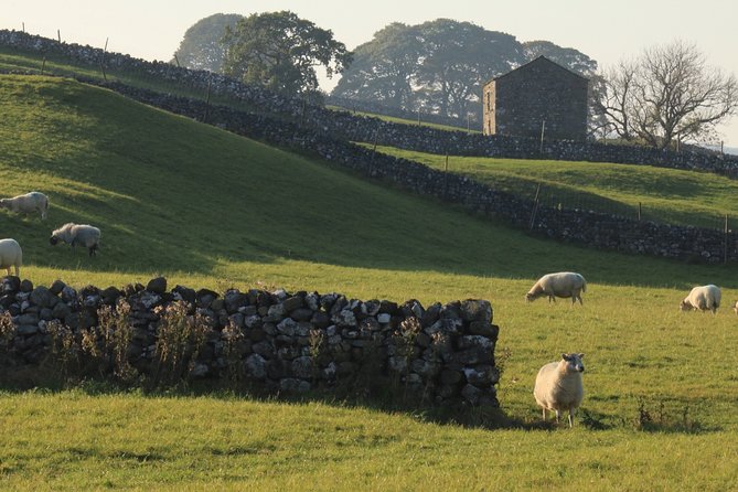 Private Tour in Lake District from York in a 16 Seater Mercedes - FAQs