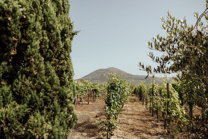Private Tour in Pompeii and Vesuvius - Final Thoughts: Is It Worth It?