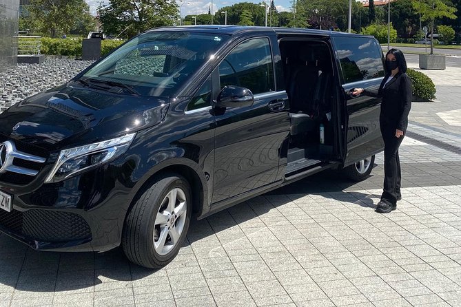 Private transfer to Disney - What Can You Expect During Your Ride?